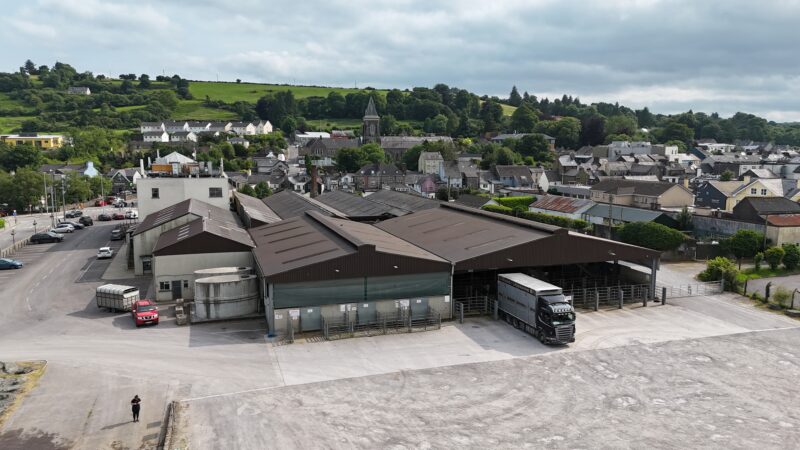Macroom – Cork Marts