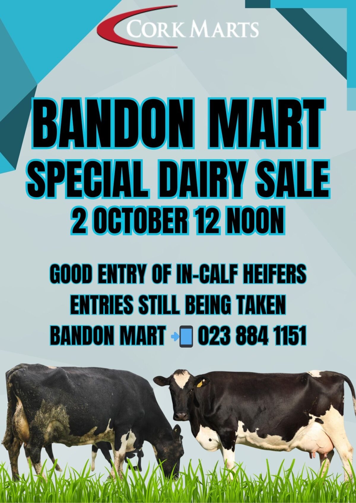 Bandon Mart Dairy Sale 2nd October – Cork Marts